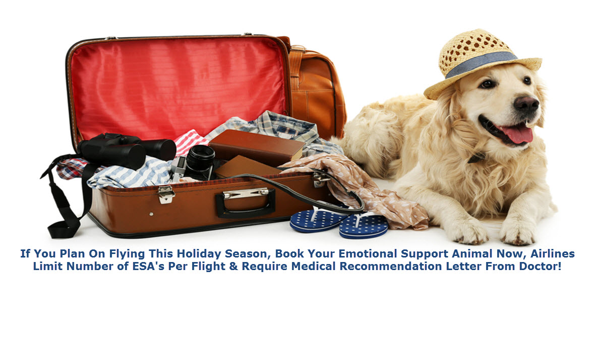 Emotional Animal Support Letter