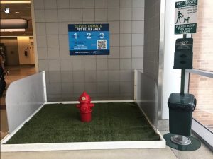 Airport Relief Areas for Your Service Dog or Emotional Support Dog