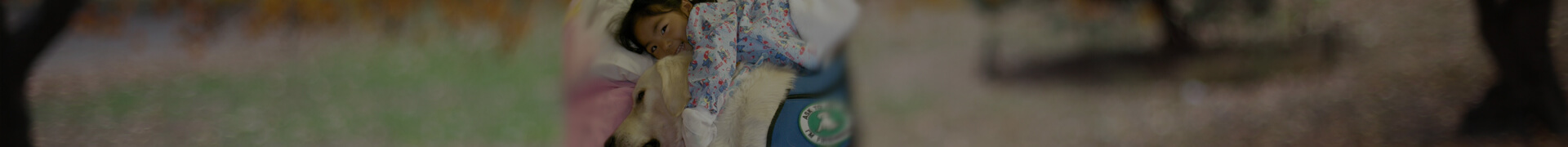 Free Service Dog Registration Free Service Dog Certification