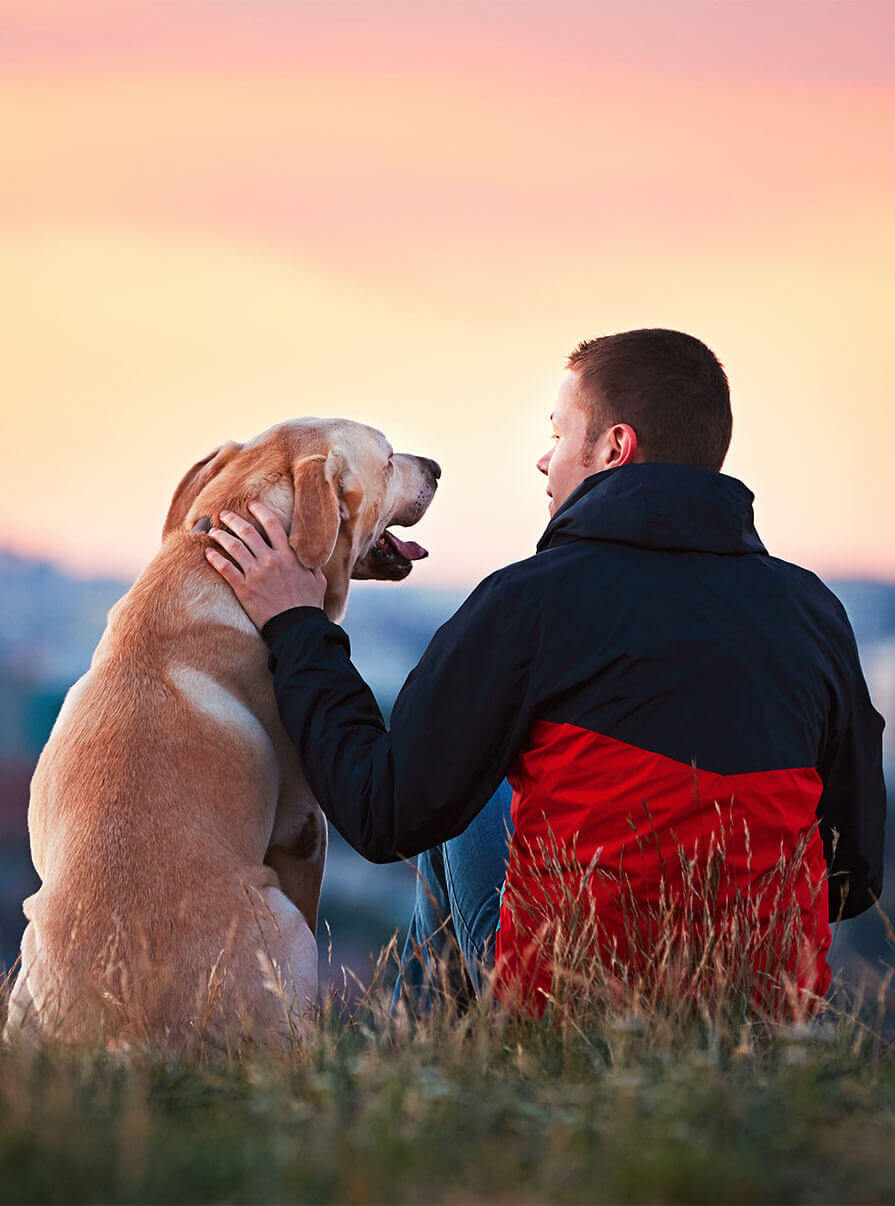 About Us USA Service Dog Registration